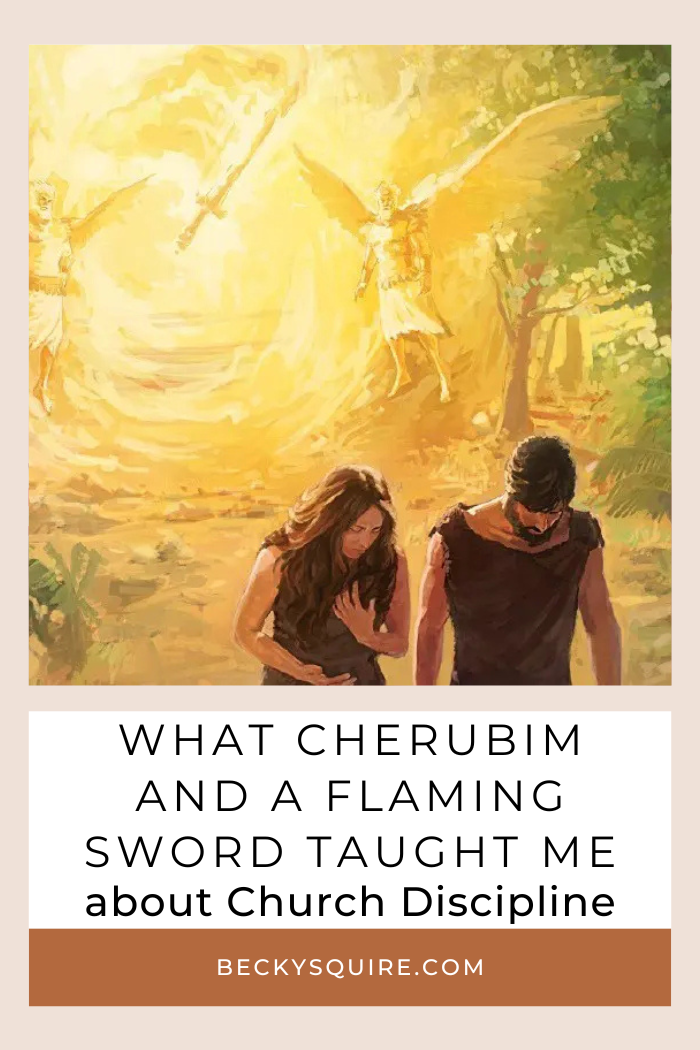 What Cherubim and a Flaming Sword Taught Me About Church Discipline ...